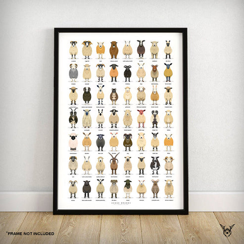 The Ultimate Sheep Breeds Poster – Als Couzens Artwork